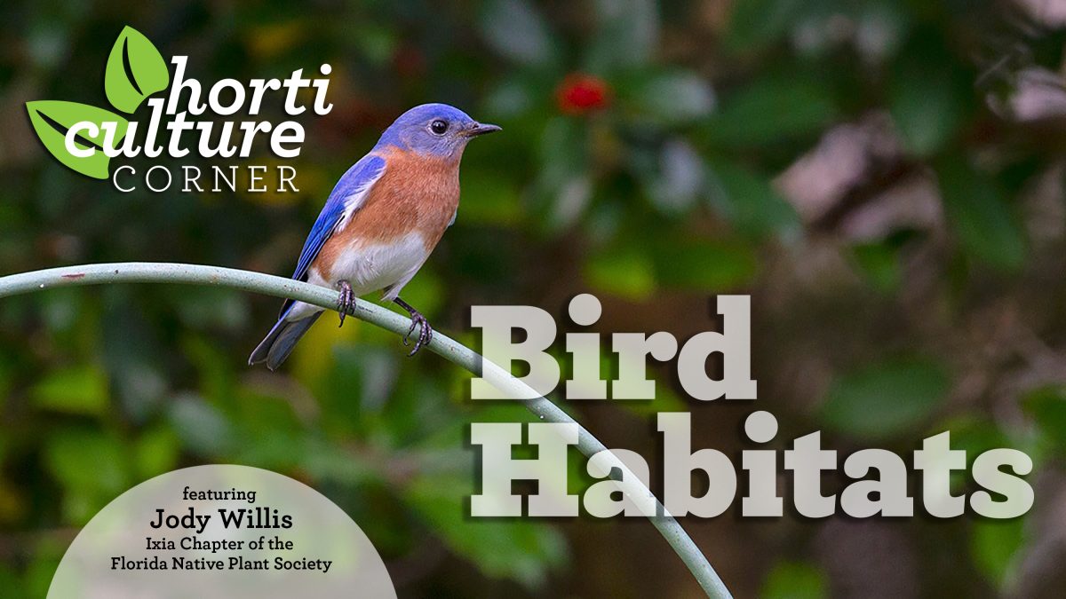 Horticulture Corner: Bird Habitats - Garden Club of Jacksonville