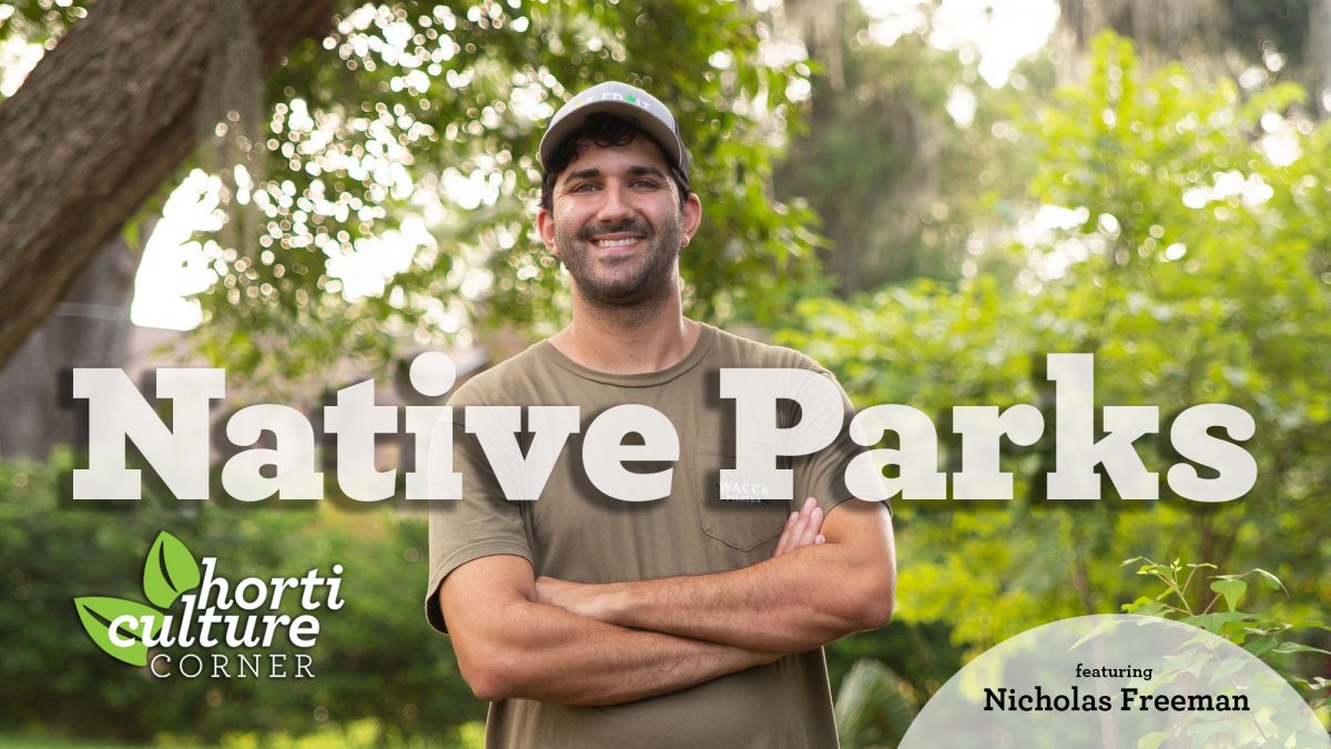 Horticulture Corner: Native Parks - Garden Club of Jacksonville