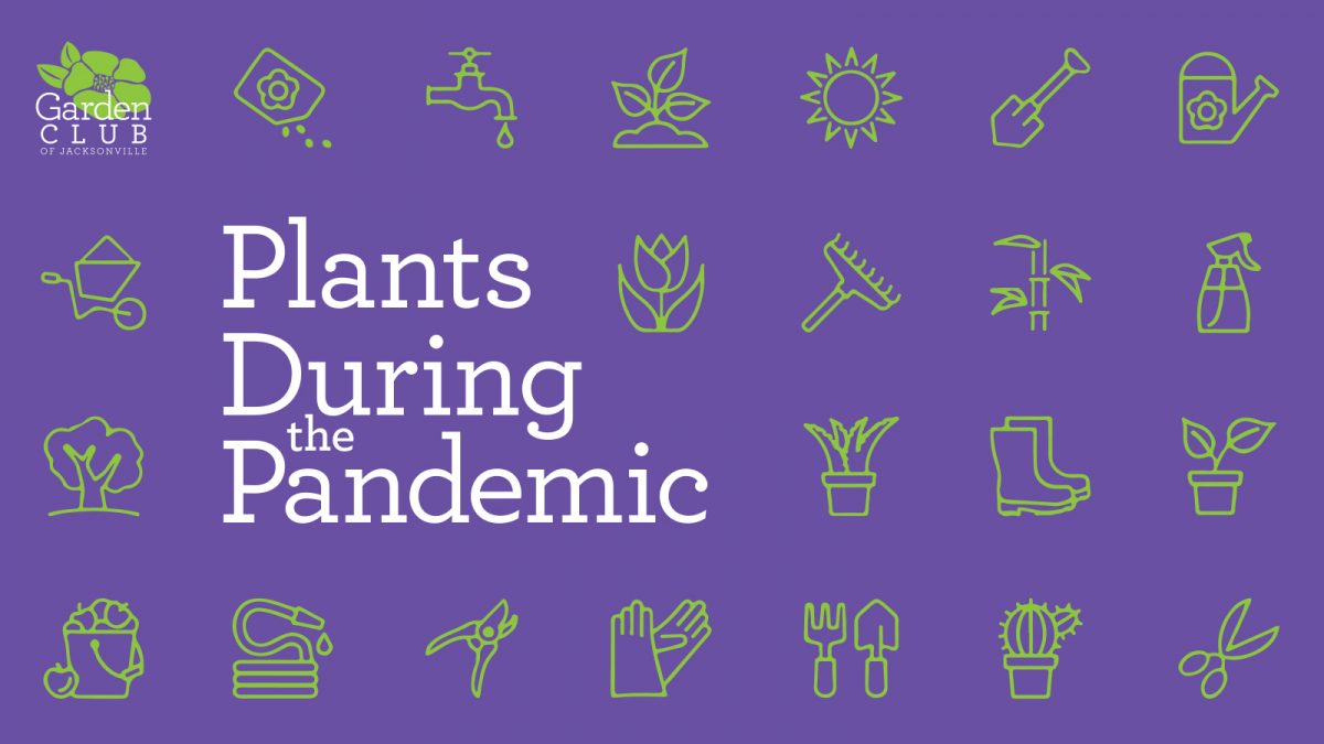 Plants During the Pandemic - Garden Club of Jacksonville