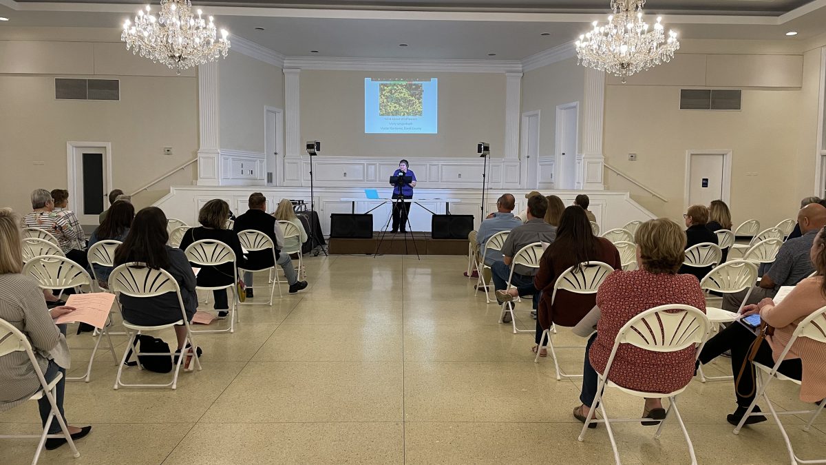 Horticulture Corner: Wild for Wildflowers - Garden Club of Jacksonville