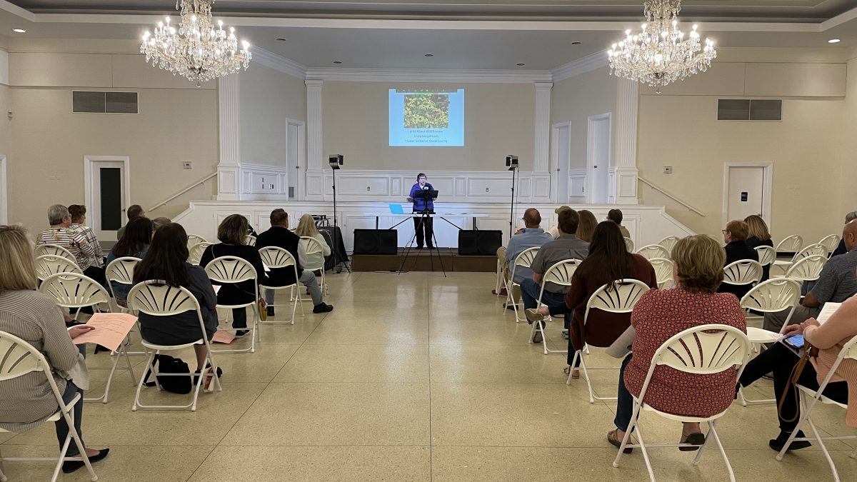 Horticulture Corner: Wild for Wildflowers - Garden Club of Jacksonville