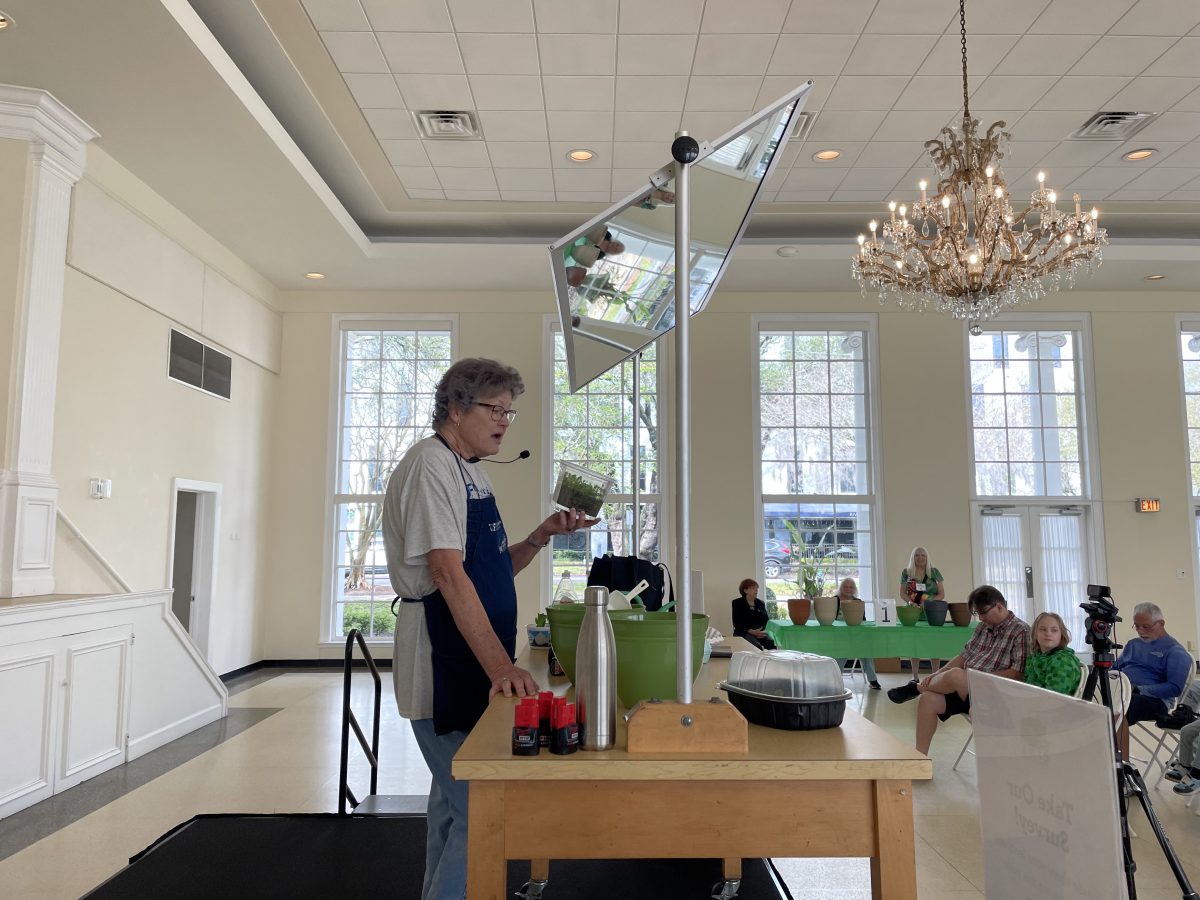 Budding Gardeners: Lettuce Plant a Salad - Garden Club of Jacksonville