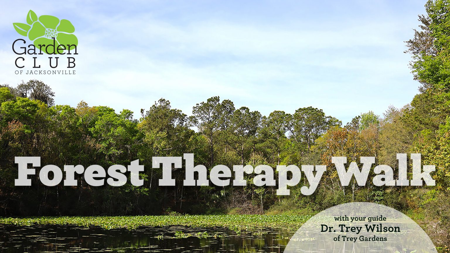 Forest Therapy Walk - Garden Club of Jacksonville